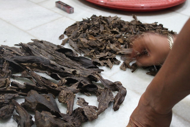 Why Agarwood is Expensive? - Asia Forest